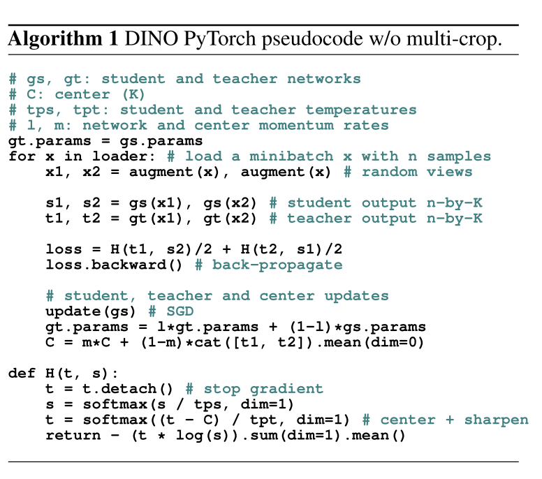 Self-Supervised Vision Transformers - DINO — Object Recognition Lecture